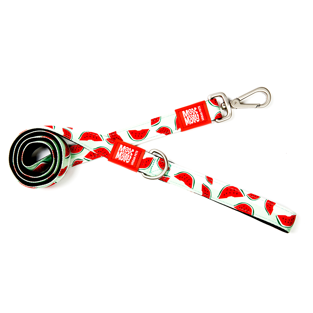 Max & Molly Korte Hondenlijn Watermelon Maat XS 120cm lang 10mm breed ...